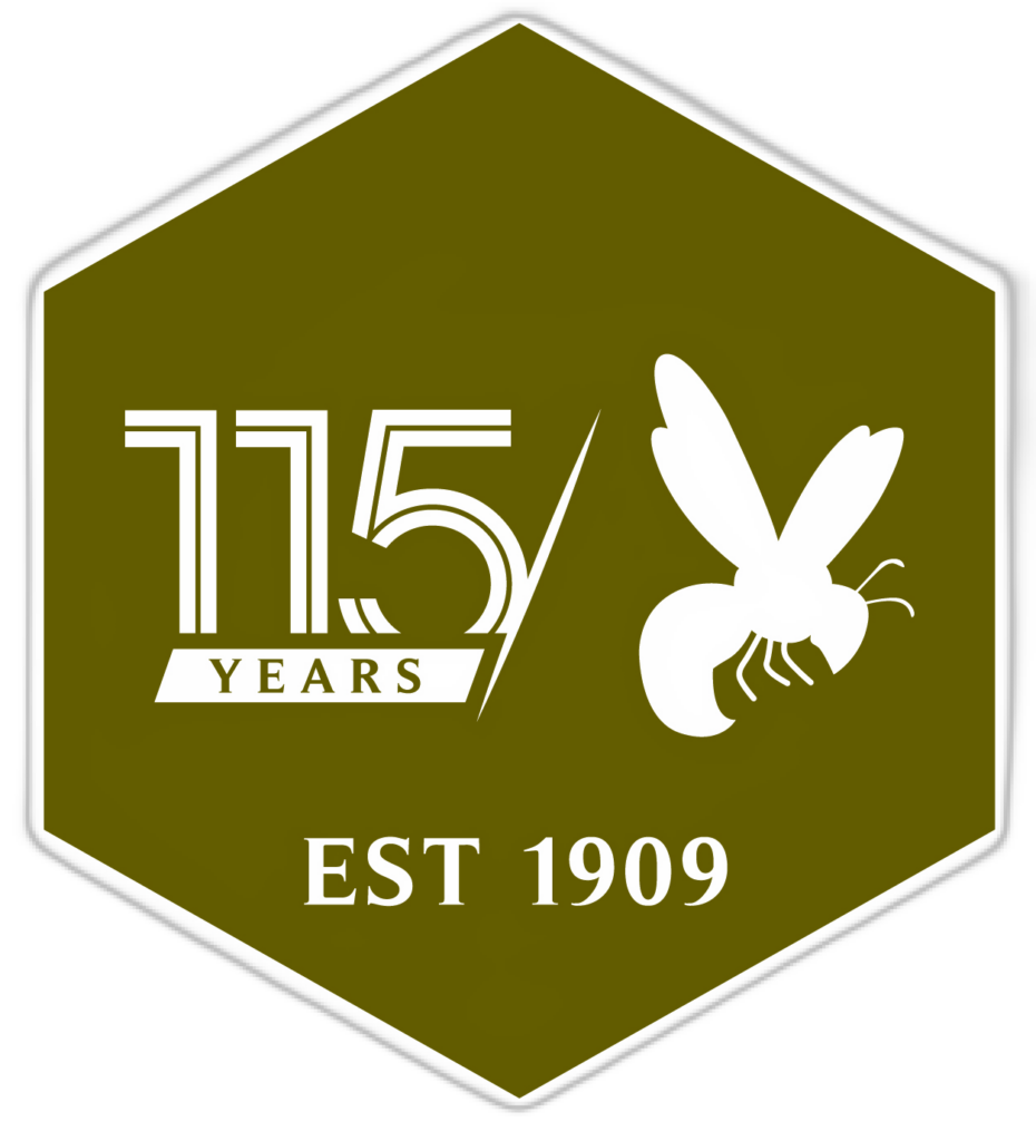 Ultimate Guide To Shackles | Definition and Different Types